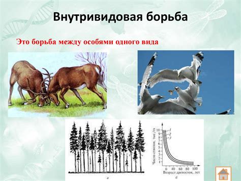 Основные положения теории Чарльза Дарвина об эволюции органического мира презентация онлайн