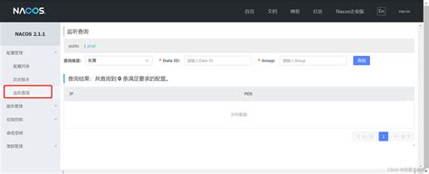 Nacos——配置管理基础应用nacos配置 Csdn博客