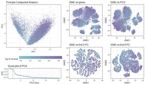 Effect Of Introducing Principle Components On Non Linear Dimensionality Reduction Genomic Data