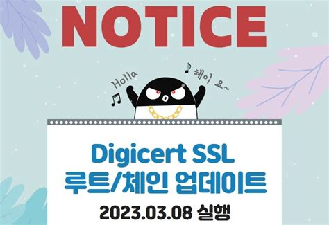 중요공지 Digicert Ssl인증서 루트체인 업데이트 20230308실행 Ssl 인증서 발급종류가격비교 중요공지 Digicert Ssl인증서 루트체인 업데이트 20230308실행 Ssl 인증서 발급종류가격비교