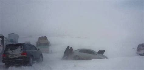 ТАНИЛЦ Гамшиг ослын нөхцөл байдал сар шинийн баярын өдрүүдэд ямар байв Mnews Mn