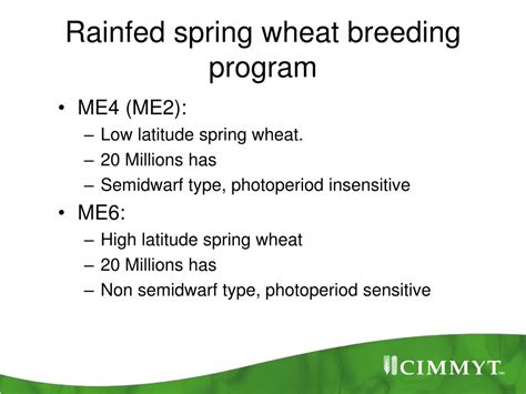 Ppt Spring Wheat Breeding For Rain Fed Areas At Cimmyt Powerpoint Presentation Id629455