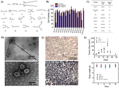 A Synthesis Of Combinatorial Library Of Lipid Nanoparticle For Download Scientific Diagram