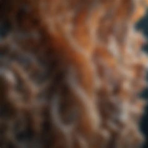 Chitin In Mushrooms Structural And Ecological Importance