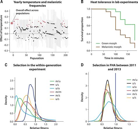 Natural Selection Graph