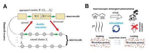 Coarse Graining And Double Causation A Coarse Graining Allows To Download Scientific Diagram