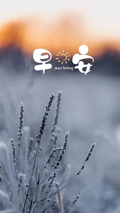 电池cpc认证 知乎