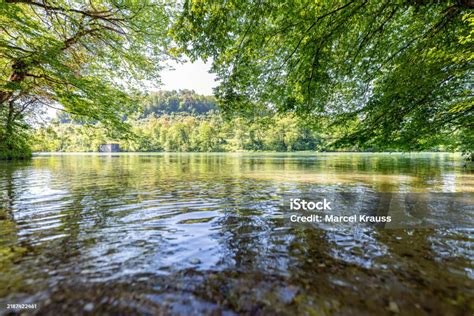 울창한 녹색 해안이 있는 라인 강을 따라 펼쳐진 고요한 강변 풍경에는 역사적인 세계 대전 시대의 벙커가 있습니다 0명에 대한 스톡 사진 및 기타 이미지 Istock
