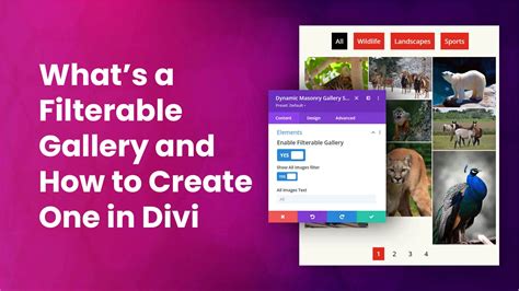 Whats A Filterable Gallery And How To Create One In Divi