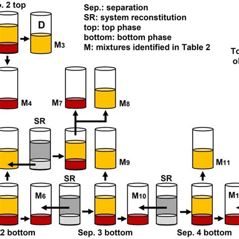 Flow Diagram Corresponding To A Multistage Aqueous Two Phase System Download Scientific Diagram
