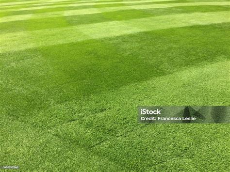 여름에 명확하게 정의 된 줄무늬가있는 무성한 녹색 영어 잔디밭을 완벽하게 닦으십시오 0명에 대한 스톡 사진 및 기타 이미지 0명 경관 계절 Istock