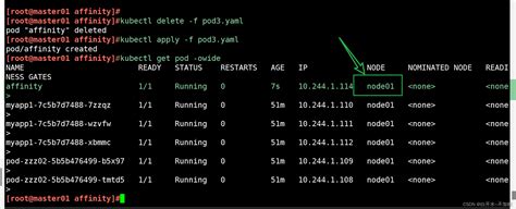【kubernetes】关于k8s集群如何将pod调度到指定node节点 亲和与反亲和等 pod指定节点 csdn博客