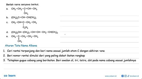 Berilah Nama Senyawa Berikut A Ch3 Ch2 C Ch Ch3 Ch3 B Ch3 2c Ch Ch Ch3 2