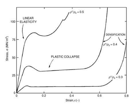 Bmed 410 Chapter 9 Flashcards Quizlet