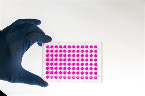 A Microplate Or Microtiter Plate Or Microwell Plate Multiwell Is A