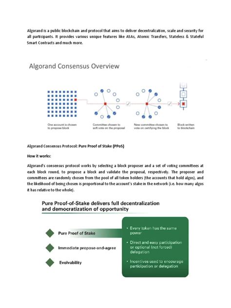 Setting Up An Algorand Node A Guide To Configuring A Development
