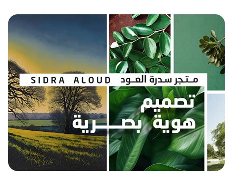 Visual Identity Design Sidra Aloud Store 5 Images Behance