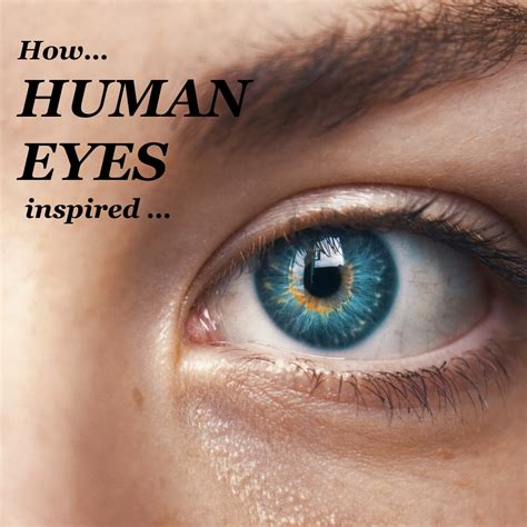 The Best Biomimicry Examples For Technology