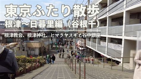 谷根千で歴史と伝統を感じる散歩。お蕎麦屋さんの親子丼とざるそば、そして猫に胸がときめく休日。東京ふたり散歩｜根津〜日暮里（谷根千）編｜vlog Youtube