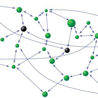 An Example Of A Complex Network With A Hidden Node Time Download Scientific Diagram