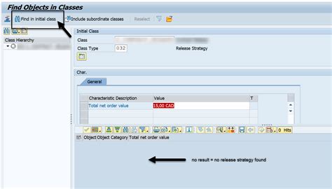 how to check which release strategy characteristic sap community