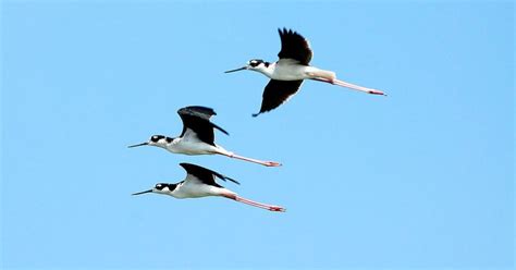 Hacemos Periodismo Infobae