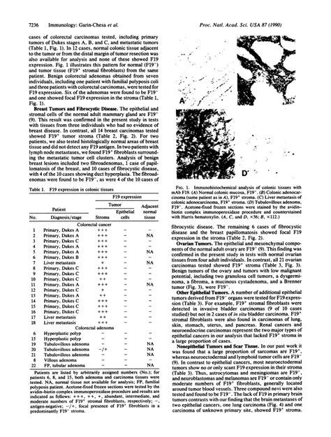 Cell Surface Glycoprotein Of Reactive Stromal Fibroblasts As A Potential Antibody Target In