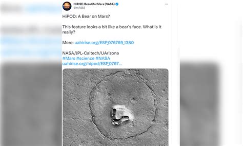 بعيون خرزية وفم مقلوب الكشف عن سر وجه الدب على سطح المريخ بوابة الأهرام