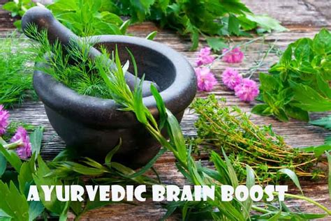 Ayurvedic Brain Boost Herbs For Enhanced Cognitive Health