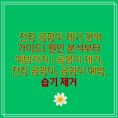 천장 곰팡이 제거 완벽 가이드 원인 분석부터 예방까지 곰팡이 제거 천장 곰팡이 곰팡이 예방 습기 제거