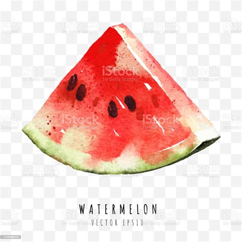 수박 슬라이스 손으로 그린 수채화 그림 흰색 배경에 격리 된 벡터 그림 수박에 대한 스톡 벡터 아트 및 기타 이미지 수박 수채화 일러스트레이션 Istock