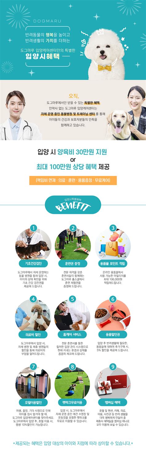 슈나우저 사라 사모예드 도베르만 꼬똥드툴레아 진돗개 친칠라 고양이수명 개 차우차우 퍼그 코카스파니엘 빠삐용 베들링턴테리어