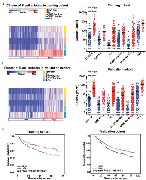 Cluster Analysis Based On B Cell Density Enables Patient Classification Download Scientific
