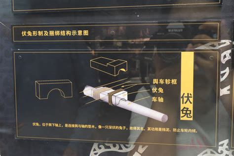 甘肃省博物馆图片素材 甘肃省博物馆设计素材 甘肃省博物馆摄影作品 甘肃省博物馆源文件下载 甘肃省博物馆图片素材下载 甘肃省博物馆背景素材 甘肃