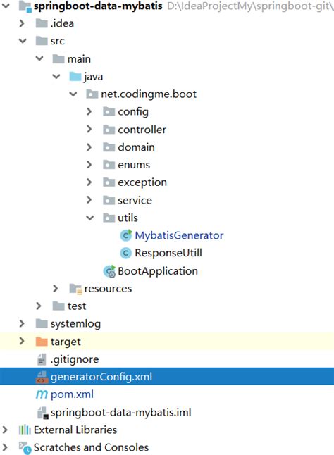 spring boot 使用 mybatis访问数据库 未读代码
