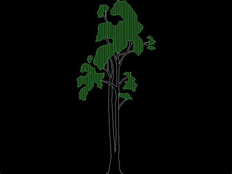 Tree In AutoCAD Download CAD Free 25 37 KB Bibliocad