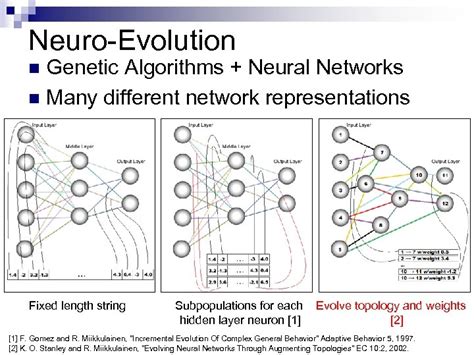 evolution brains and multiple objectives by jacob schrum