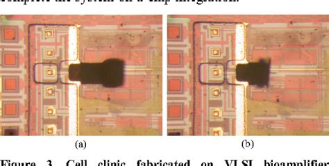 Figure 3 From Integrated Mems Structures And Cmos Circuits For Bioelectronic Interface With