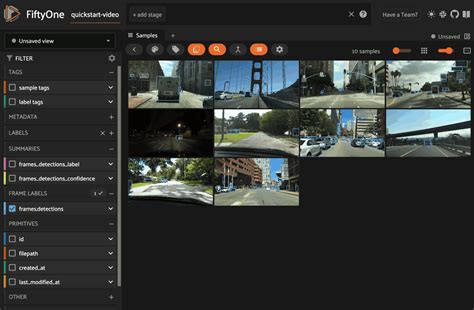 Using Fiftyone Datasets — Fiftyone 190 Documentation