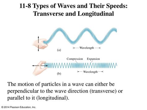 Characteristics Of Longitudinal And Transverse Waves Class 11
