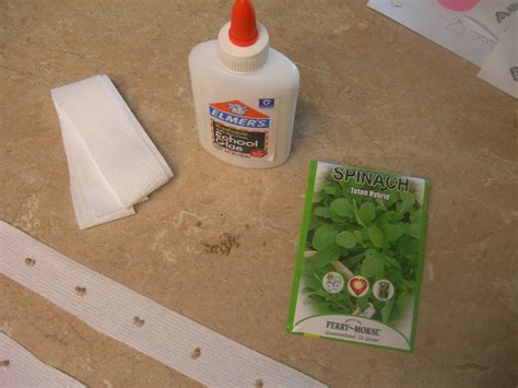 This Gals Take On Things Homemade Seed Tapes