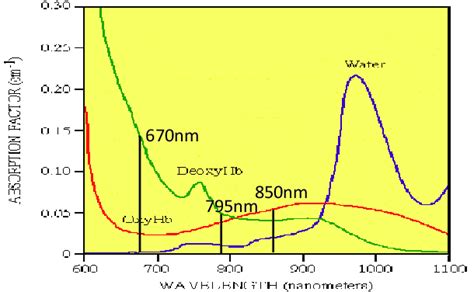 Nir Spectrum With Absorption Coeffieints Download Scientific Diagram