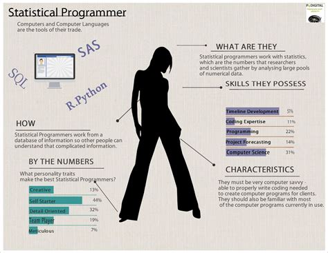 Statistical Programmer Programmer Job Job Description