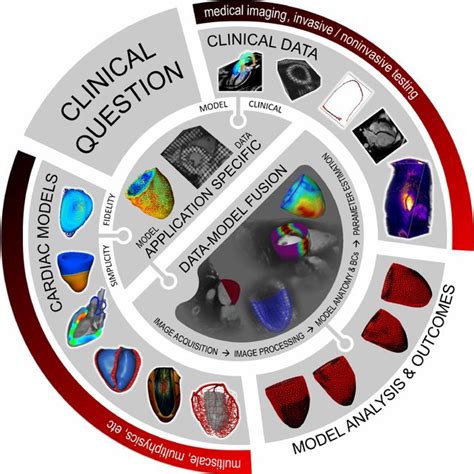 Pdf Multiphysics And Multiscale Modeling Data Model Fusion And Integration Of Organ Physiology