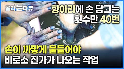 수십차례 항아리에 손을 담가야 하는 일 항아리에 가득 찬 염료 발효액에 손까지 까맣게 물들여야 비로소 진정한 색이 나온다 ‘천연 염색 골라듄다큐 Youtube