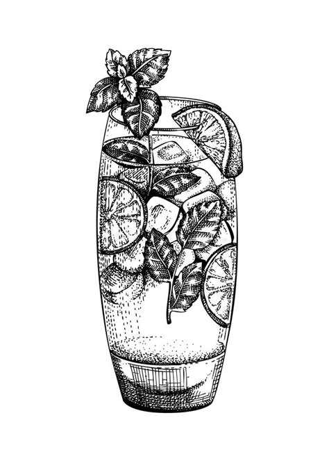 Mocktail Glass Drawing Stock Illustrations 314 Mocktail Glass Drawing Stock Illustrations