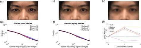 Performance Test On Artificially Degraded Datasets A C Example Download Scientific Diagram