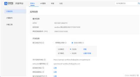 支付宝支付 csdn博客