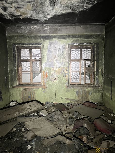 Дом купца М. Т. Фролова (Санкт-Петербург) / Культура