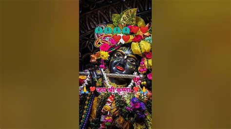 🦚🙏 Radheradha 🙏 Radhe Radhe Rishna 🦚🙏 Youtube